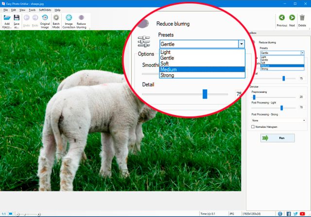 Bästa appen för att göra suddiga bilder tydliga | Gratis nedladdning